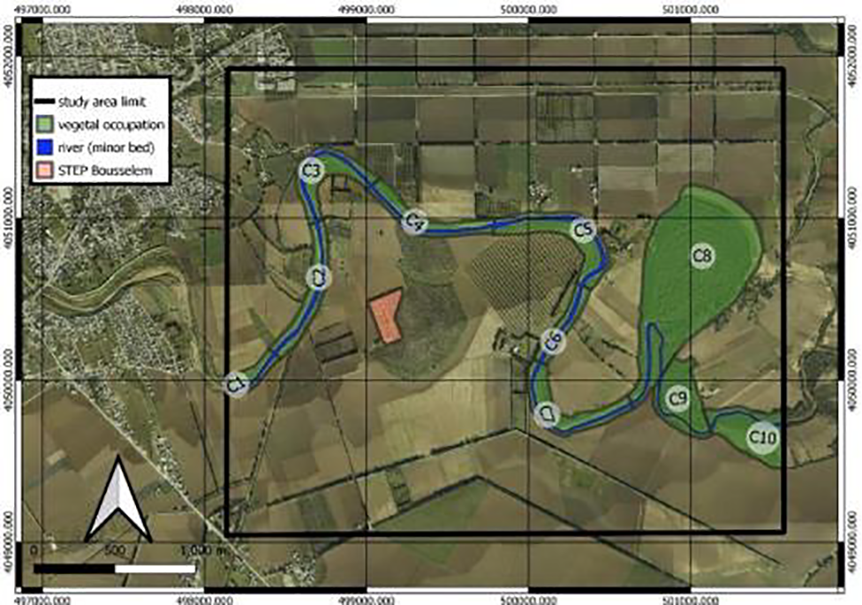 Telemac 2D Modeling of Pollutant Transport in the Medjerda River: Impact of Tamarix Vegetation ...