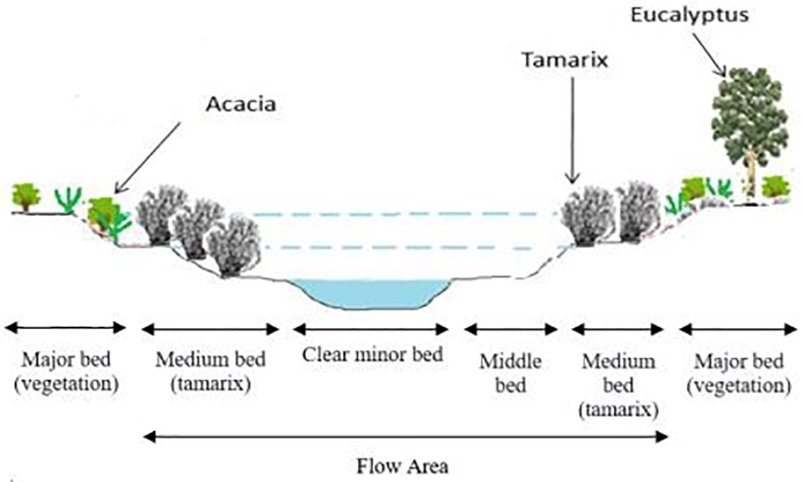 Telemac 2D Modeling of Pollutant Transport in the Medjerda River: Impact of Tamarix Vegetation ...